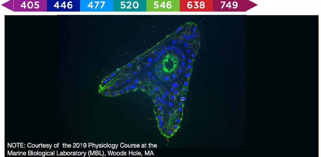 Lumencor ZIVA Light Engine - 上海星谱科技有限公司